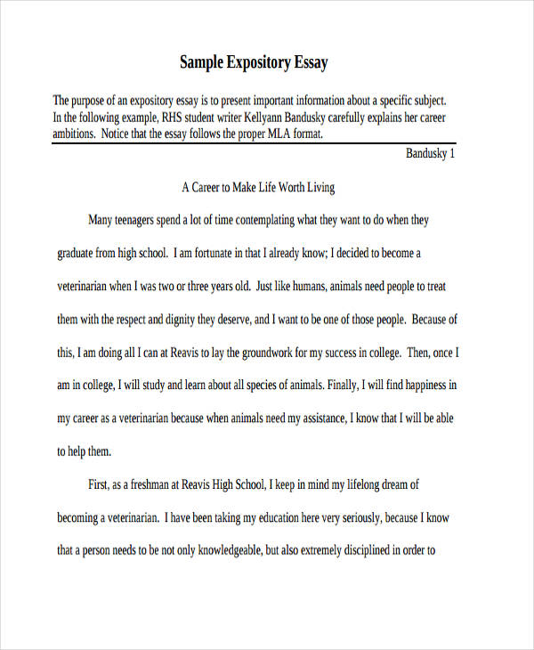 Argumentative Essay Examples College Expert Essay Writers Argumentative Essay Examples College Expert Essay Writers