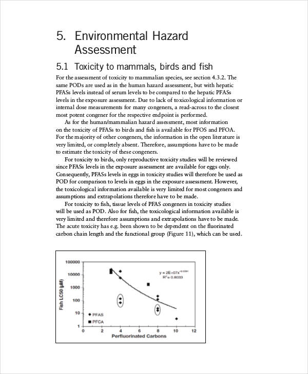 Risk Assessment Examples - 45+ in PDF | DOC | Examples