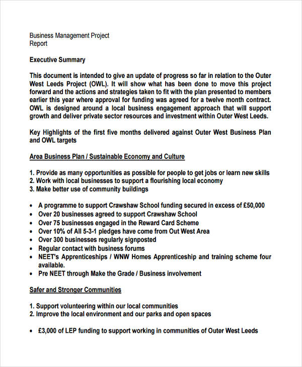 Writing A Project Report Example