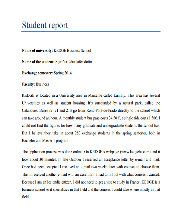 Business Report 45 Examples PDF MS Word Pages AI Publisher Excel Numbers Examples