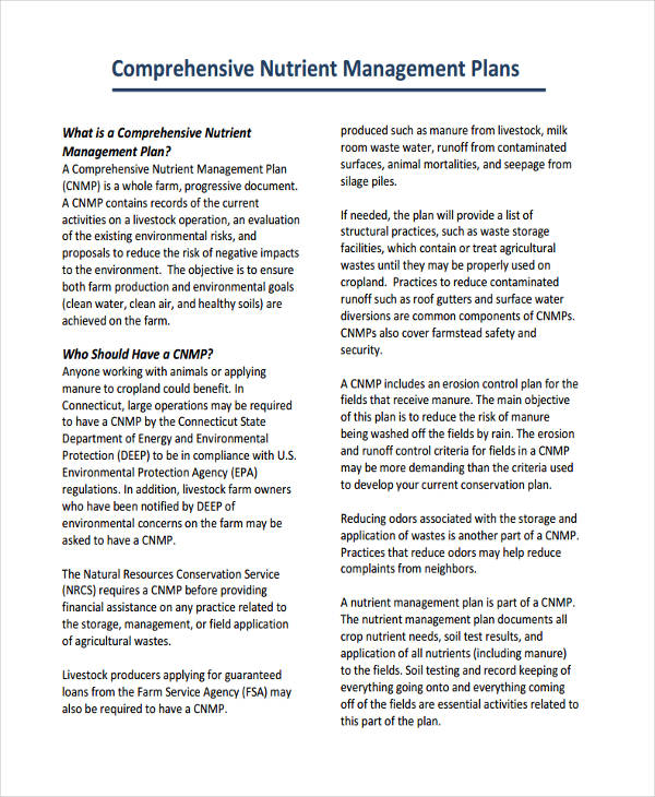 Management Plan Examples 57 In PDF MS Word Pages Google Docs