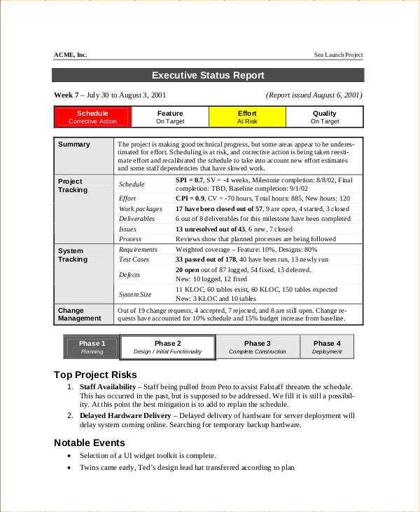 Status Report 9 Examples Format Pdf Examples