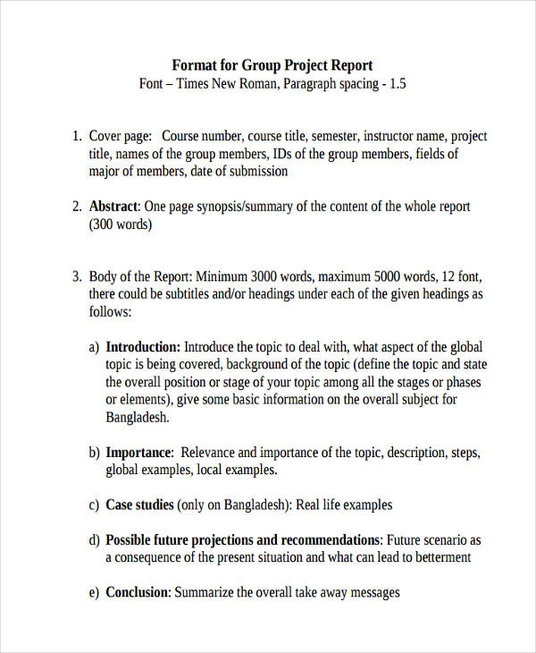 Writing A Project Report Example