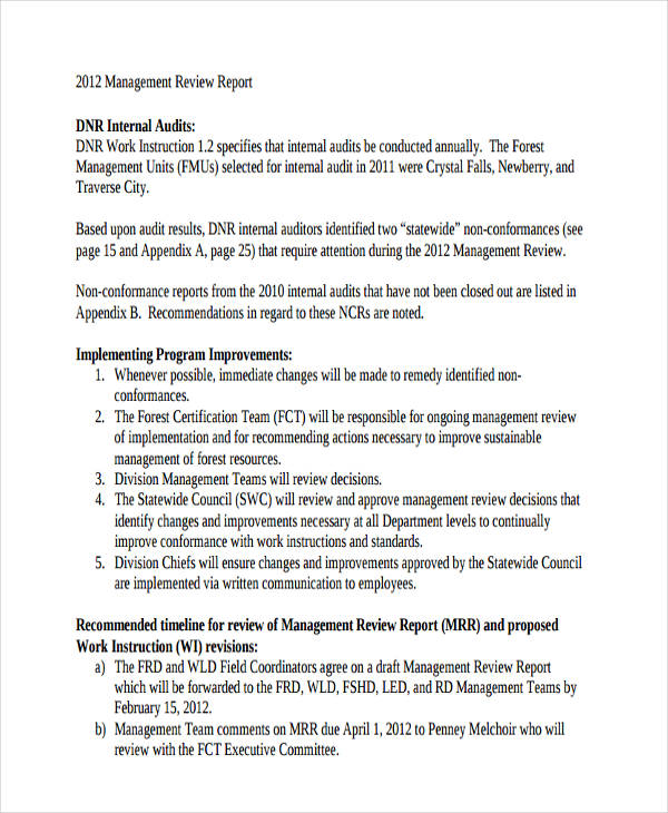 Management Report 45 Examples PDF MS Word Pages Google Docs 