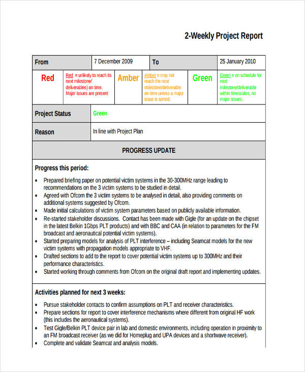 Project Report 30 Examples PDF MS Word Pages Google Docs Examples