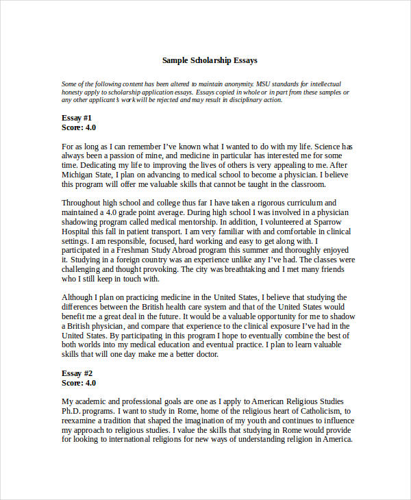 Essay Examples 17 In DOC Examples Essay Examples 17 In DOC Examples