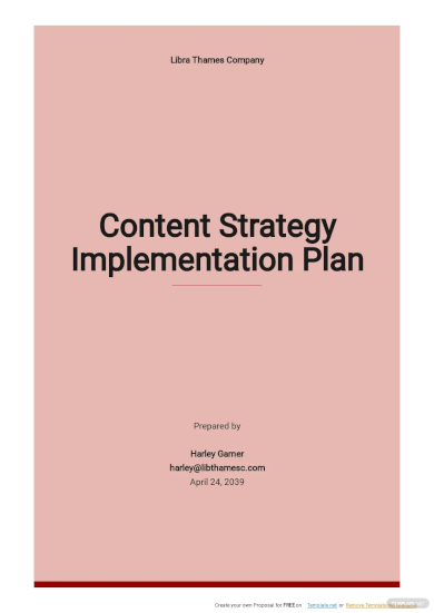 Implementation Plan - 69+ Examples, Format, Pdf | Examples