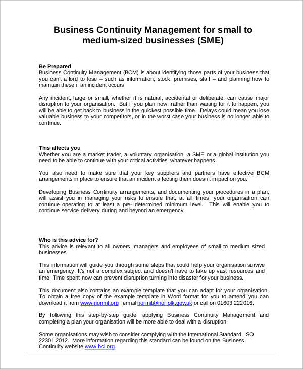 FREE 30 Free Business Plan Examples In PDF Word Pages DOC 