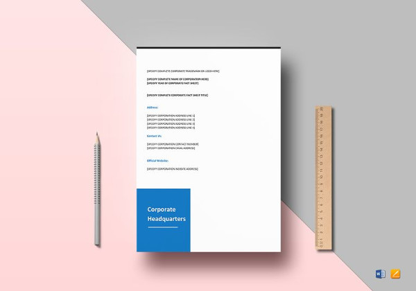 Fact Sheet Examples 19 Samples In Word Pages PDF Examples