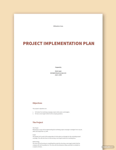 Implementation Plan - 69+ Examples, Format, Pdf | Examples