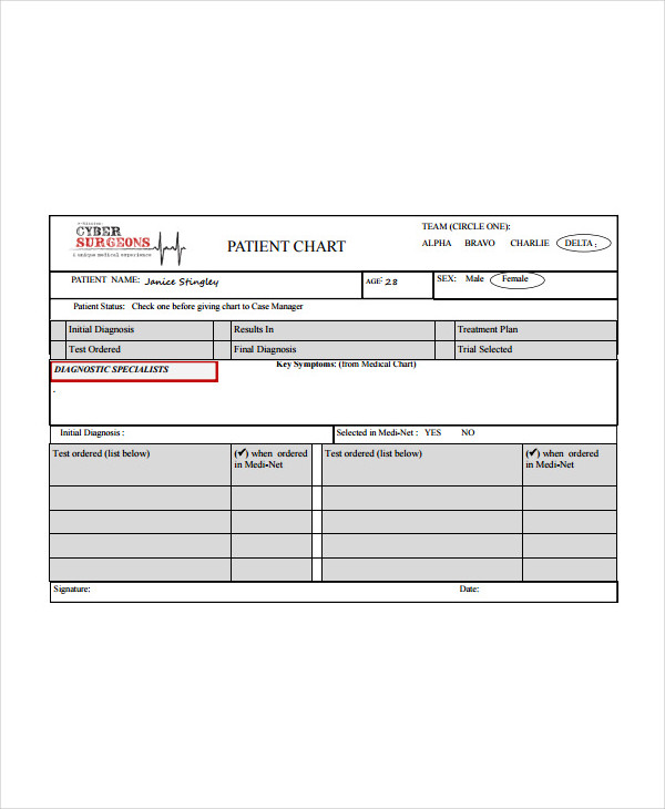 Chart Note - 5+ Examples, Format, Pdf | Examples