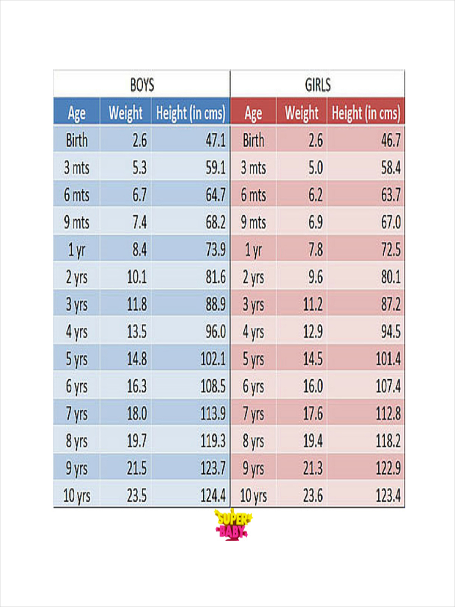 Height and Weight Chart - 7+ Examples, Format, Pdf | Examples