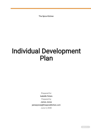 Individual Development Plan - 18+ Examples, Format, Pdf | Examples