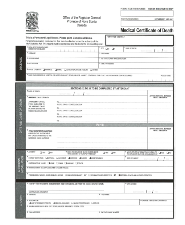 Certificate - 50+ Examples, Format, Pdf | Examples