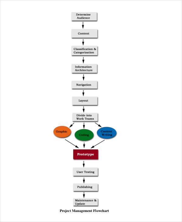 Management Flow Chart Examples - 11+ Samples in PDF | Examples