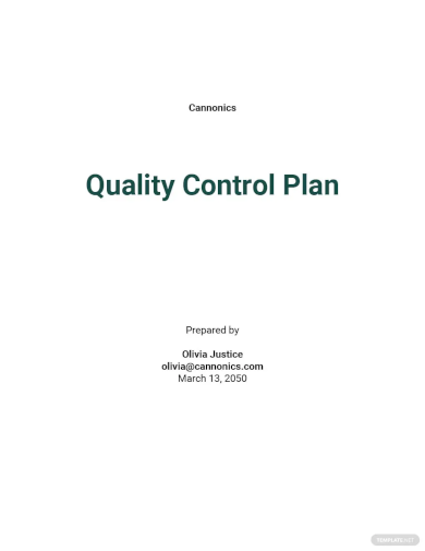 Quality Plan - 27+ Examples, Format, Pdf | Examples
