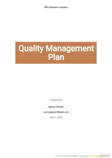 Quality Plan - 27+ Examples, Format, Pdf | Examples