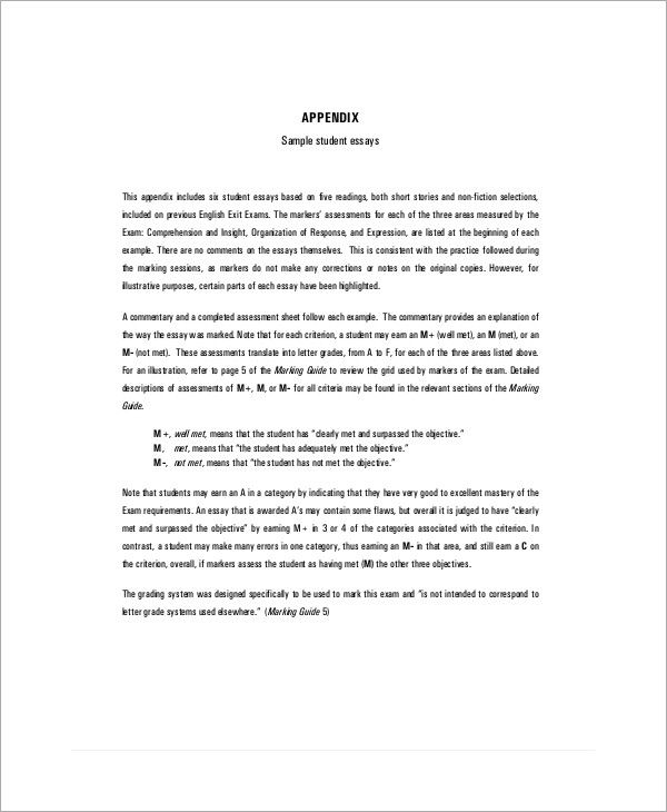 Example Essay Amat