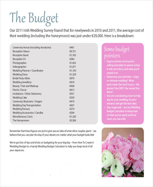 Budget Plan - 14+ Examples, Format, Pdf | Examples