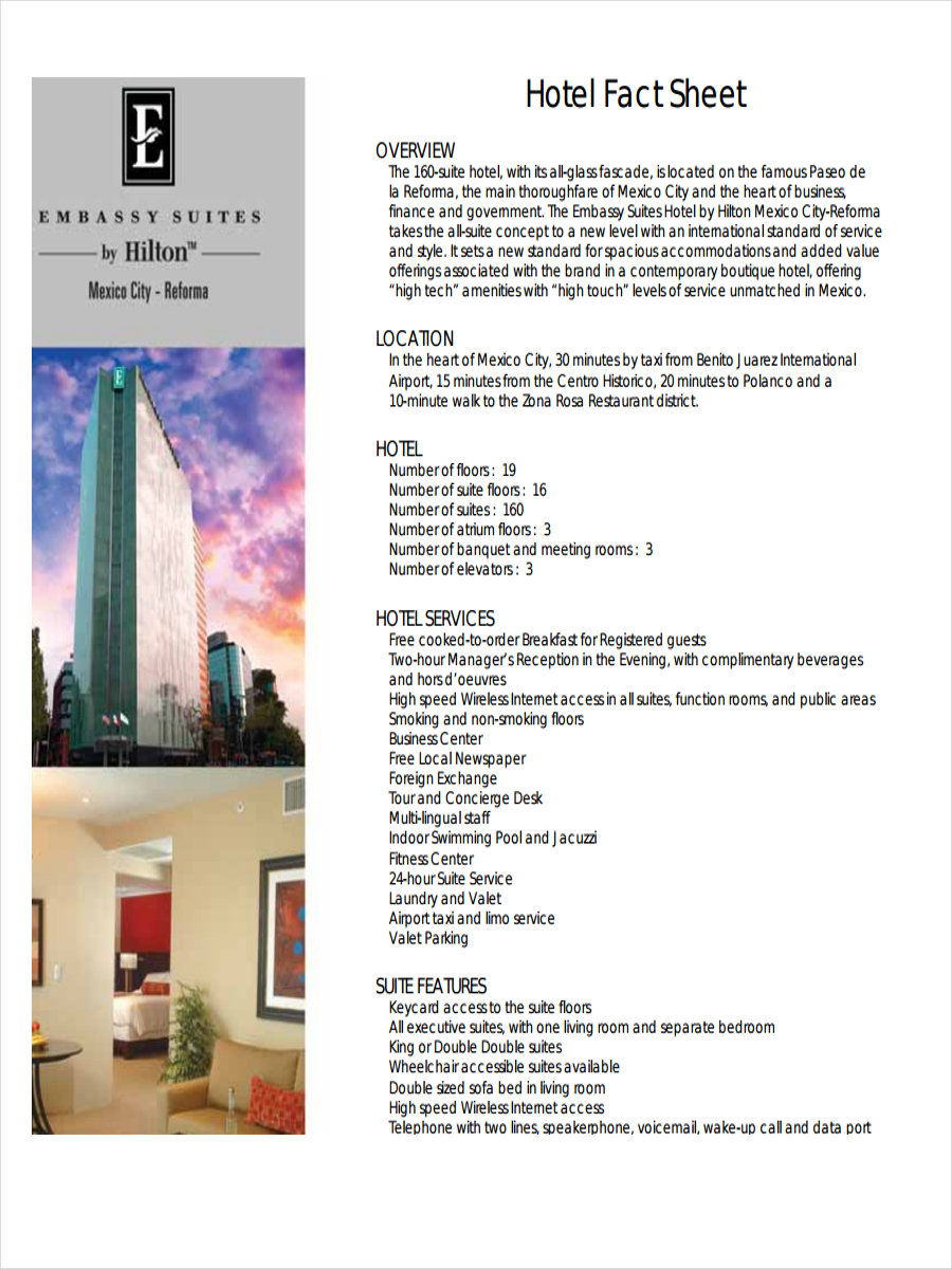Fact Sheet Examples 19 Samples In Word Pages PDF Examples