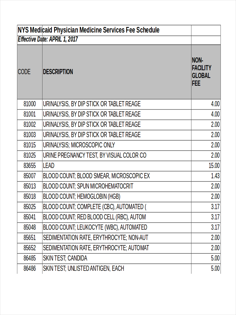 Fee Schedule 7 Examples Format Pdf Examples