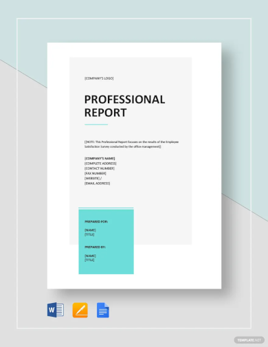 Formal Report - 18+ Examples, PDF, Google Docs, Pages, MS Word | Examples