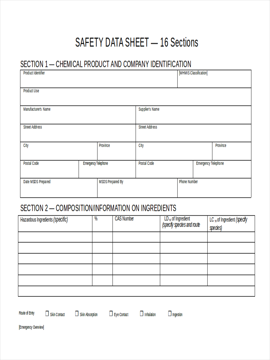 FREE 50 Sheet Examples In PDF DOC Examples