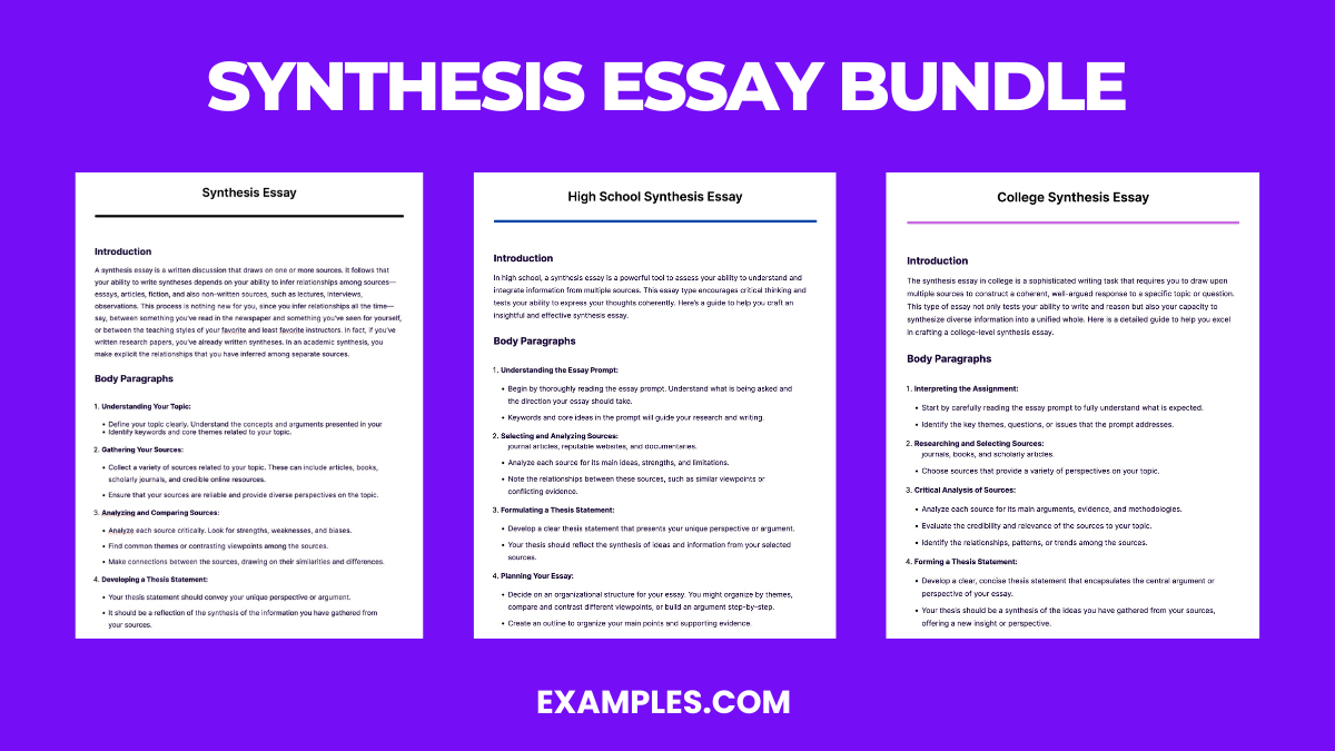 Synthesis Essay - 6+ Examples, Format, Pdf | Examples