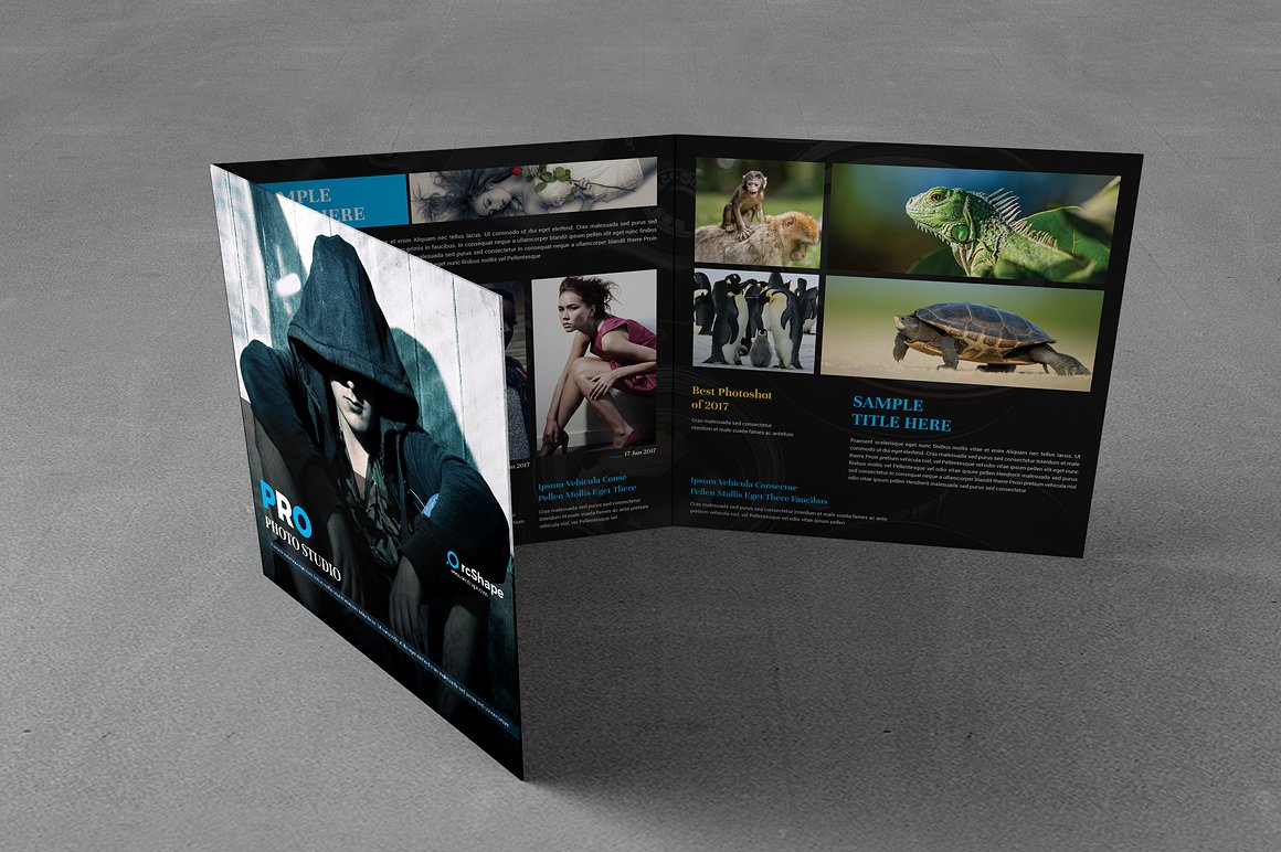 Photography Brochure - 18+ Examples, Illustrator, InDesign , Word ...