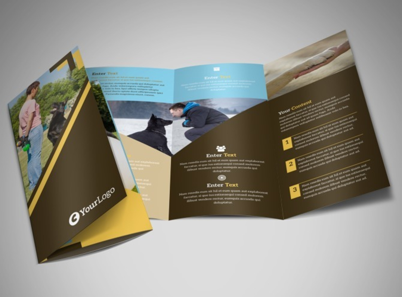 Training Brochure - 12+ Examples, Format, Pdf | Examples