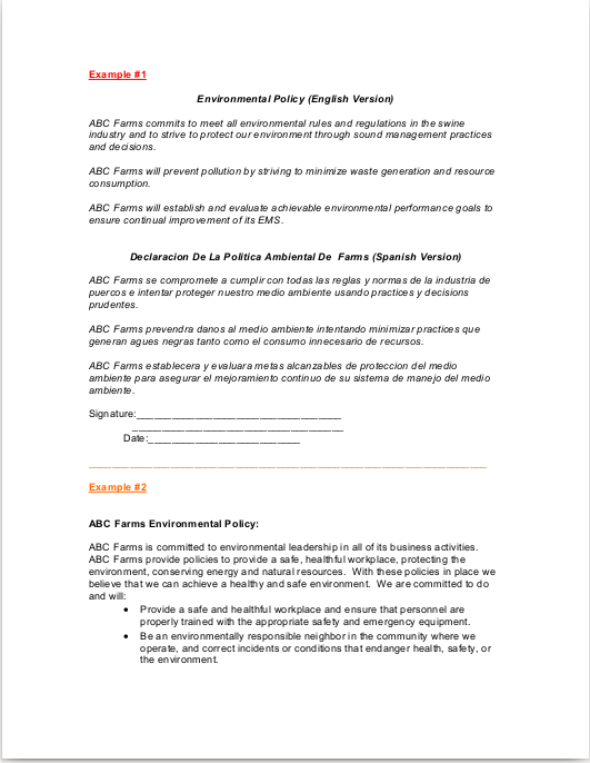 Policy - 35+ Examples, Format, Pdf | Examples