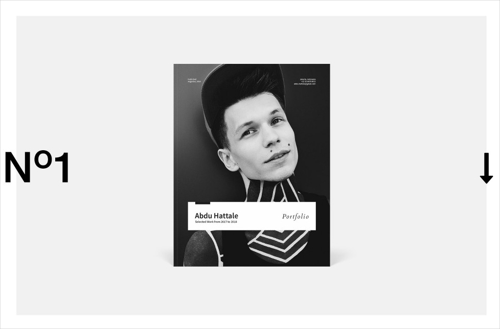 Professional Portfolio - 10+ Examples