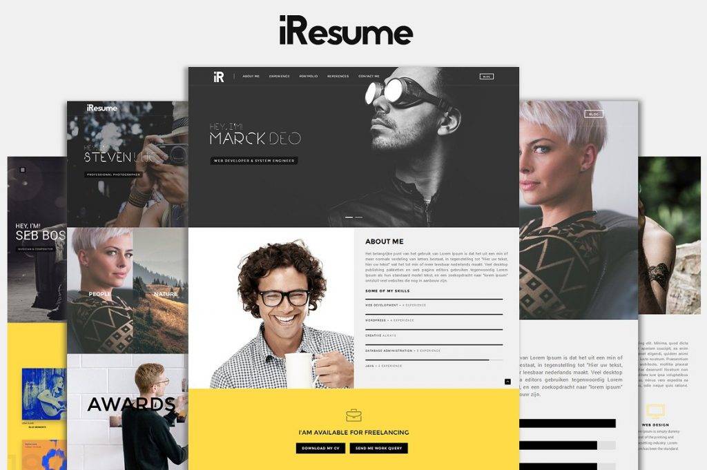 Examples Of Work Portfolios Format Sample Examples