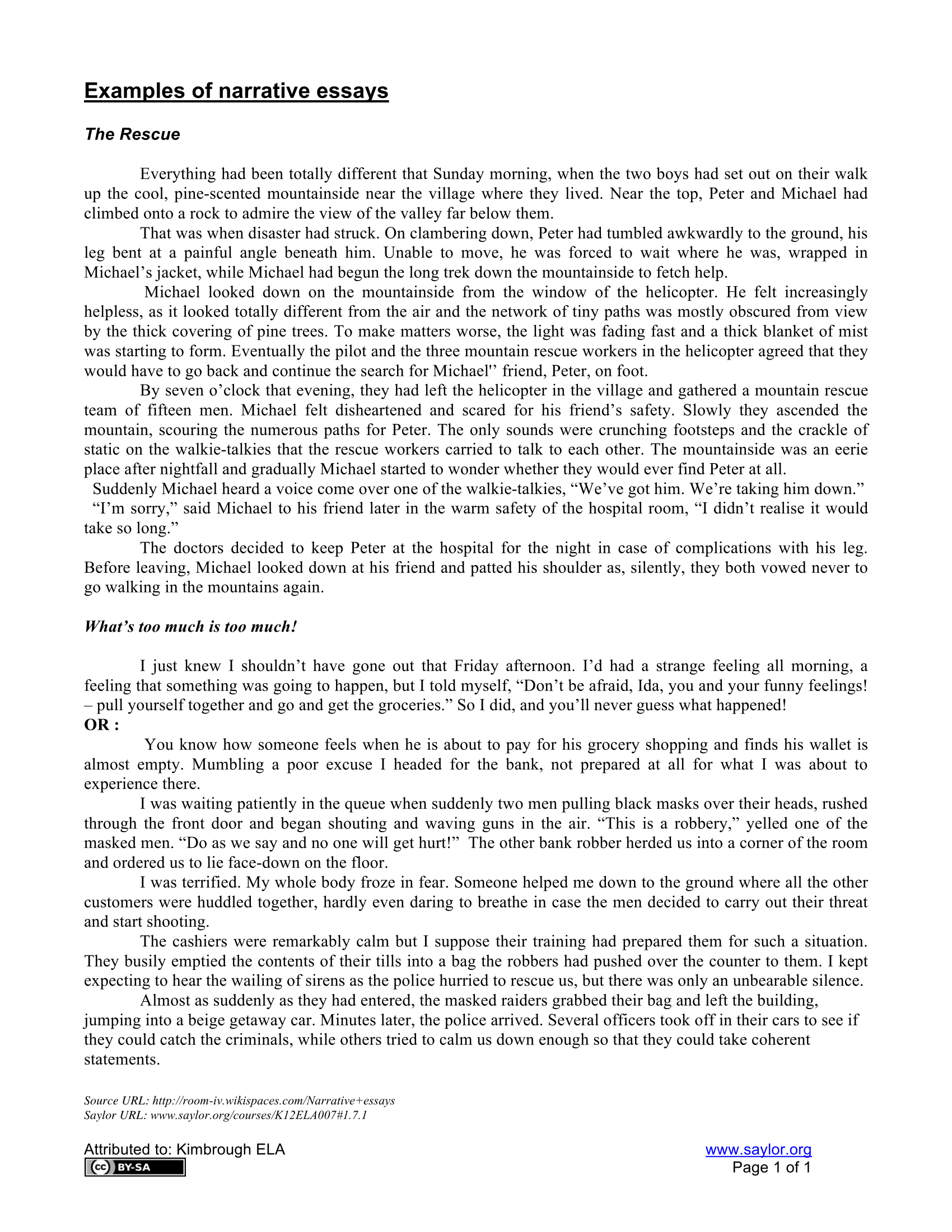 Critical Essay The Rescue Narrative Essay