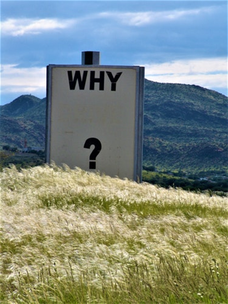 Interrogative Sentence Definition Examples Examples