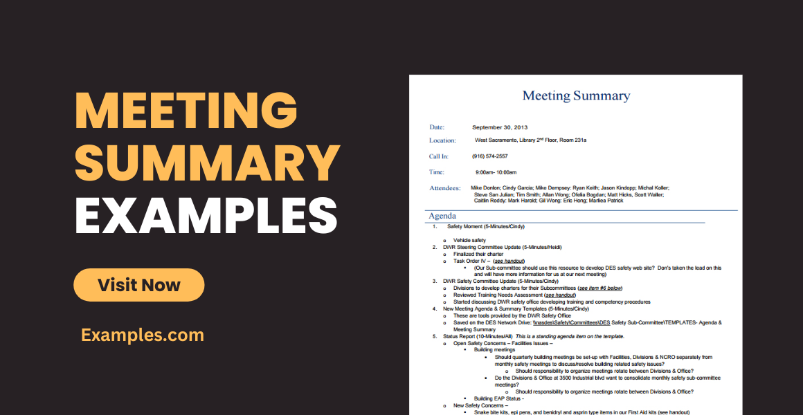 Meeting Summary Examples Format Pdf Examples