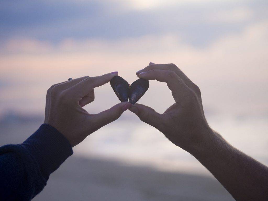 14 Heart Metaphor Examples Examples