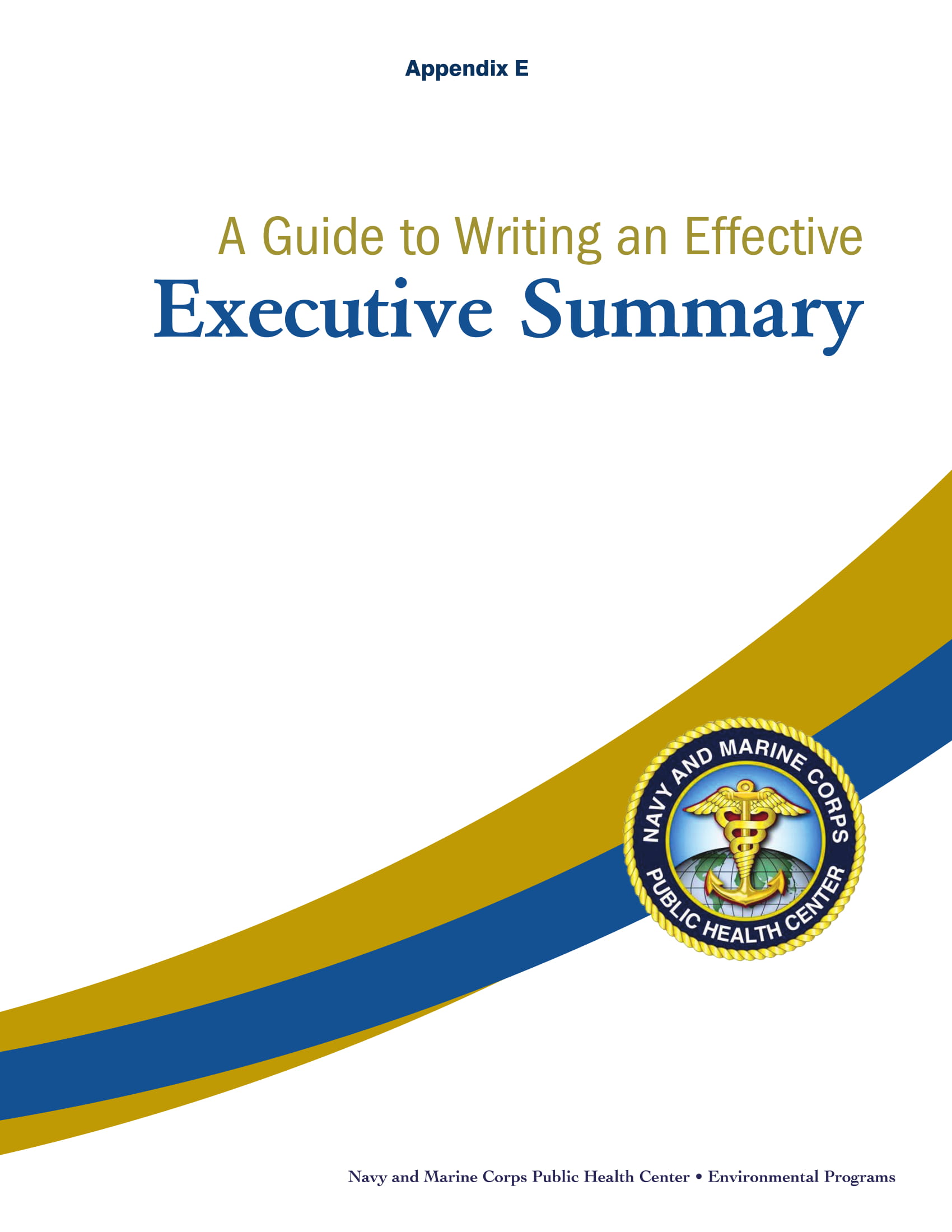 Summary 19 Examples Format Pdf Examples