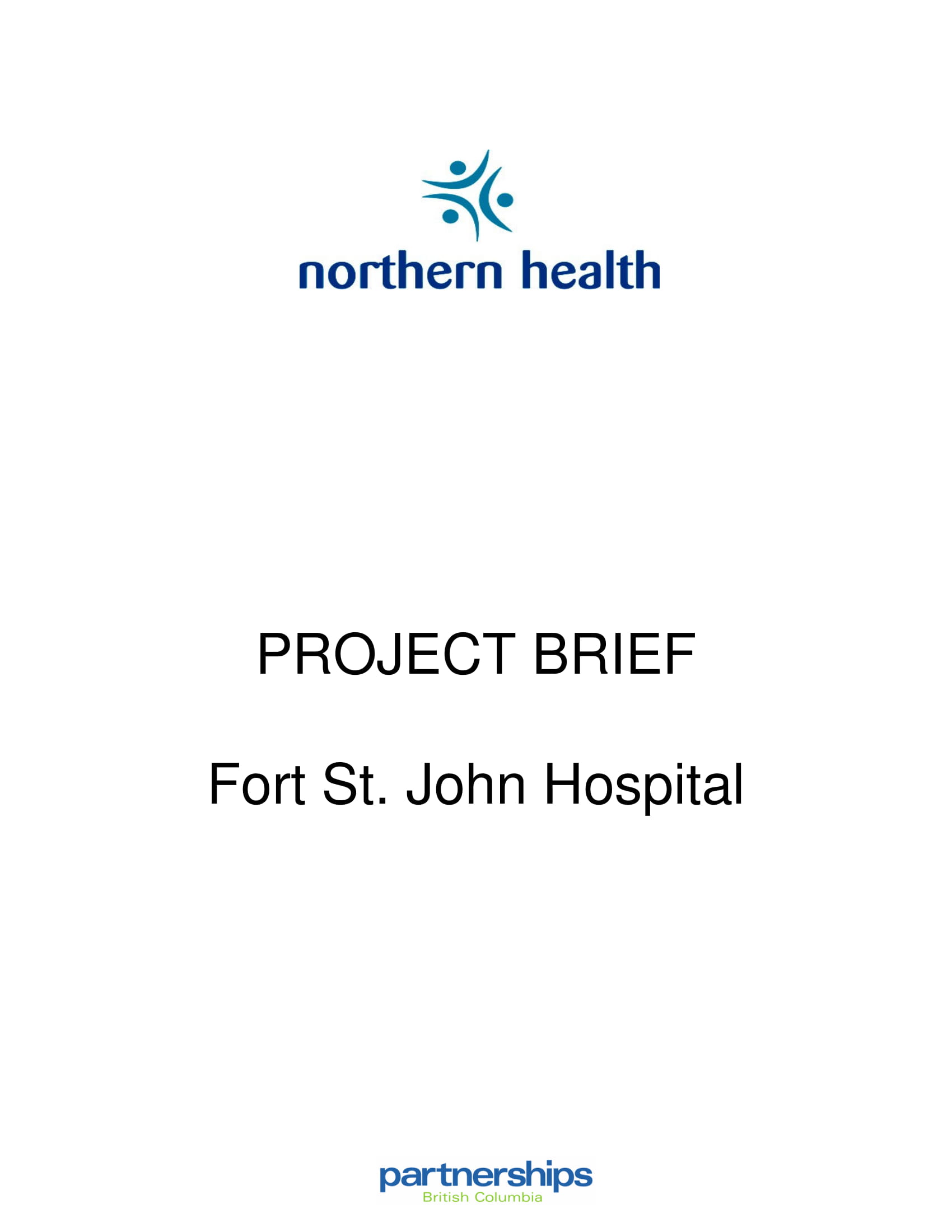 Project Brief 15 Examples Format Pdf Examples