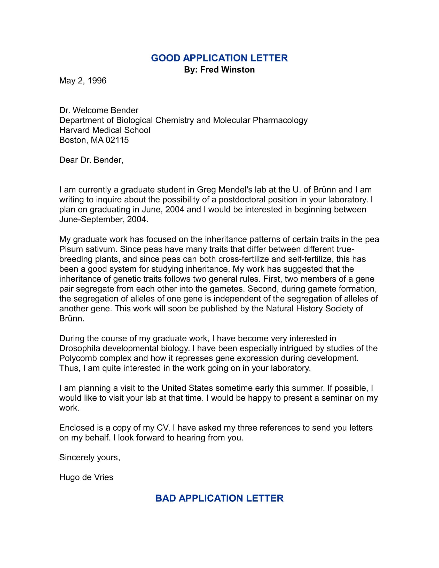 Free Cover Letter 41 Examples Format Sample Examples