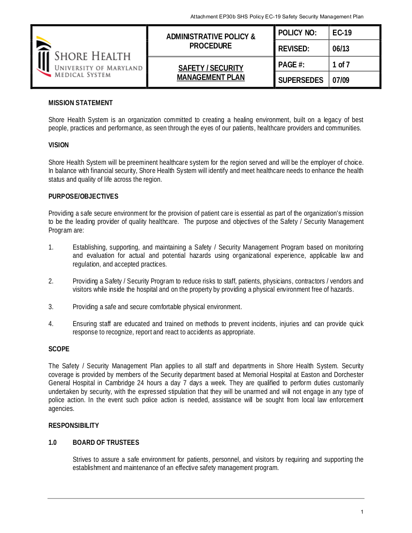 28 Management Plan Examples PDF Word Examples