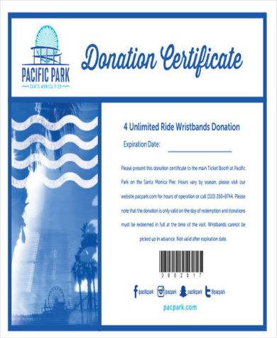 Donation Certificate - 11+ Examples, Format, Pdf | Examples