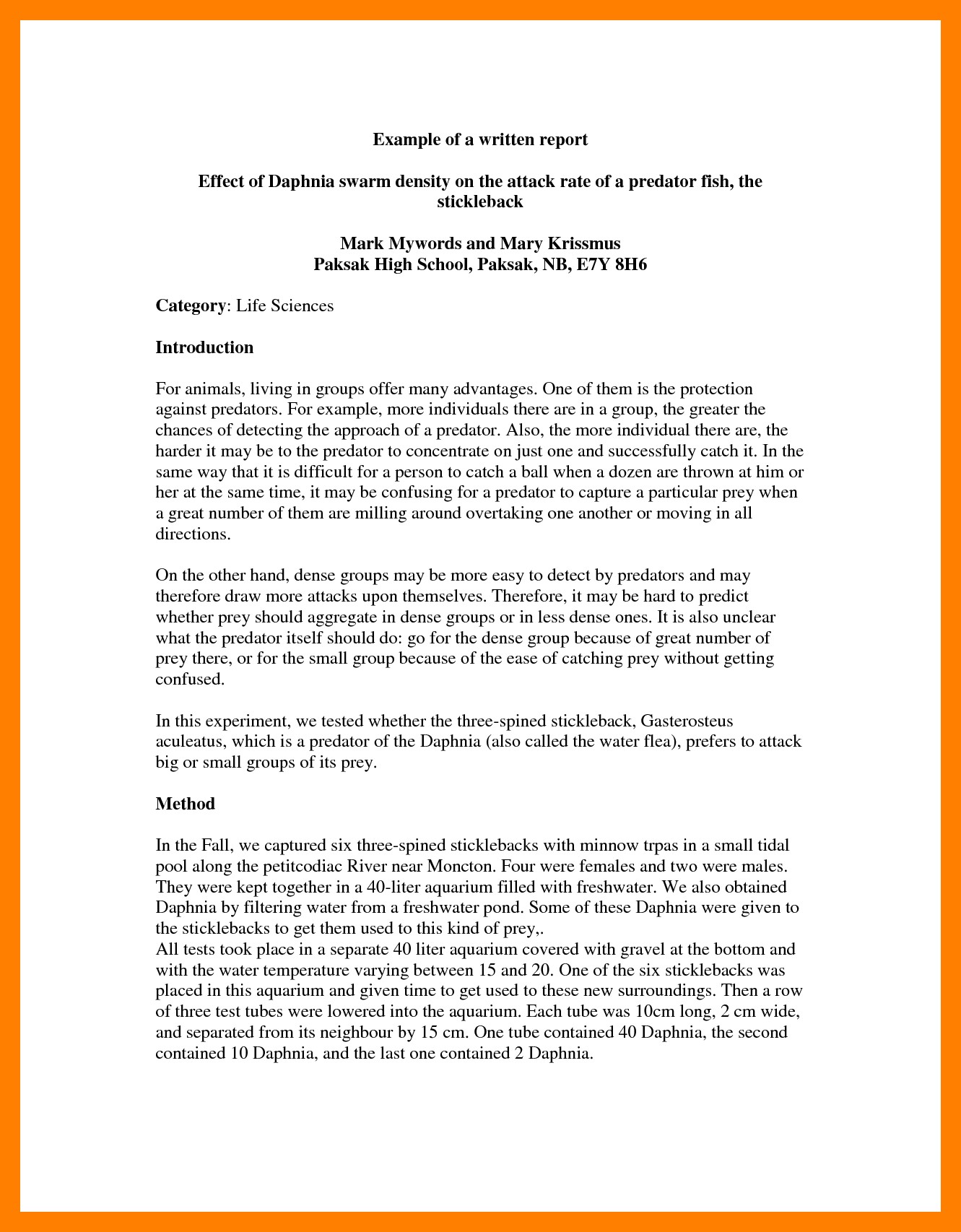 How To Write A Simple Report Example INKSTERSCHOOLS ORG