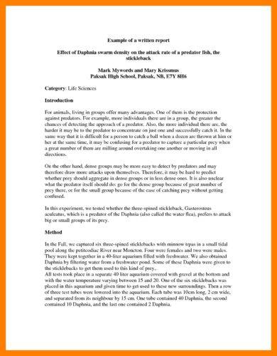 Report Writing Language