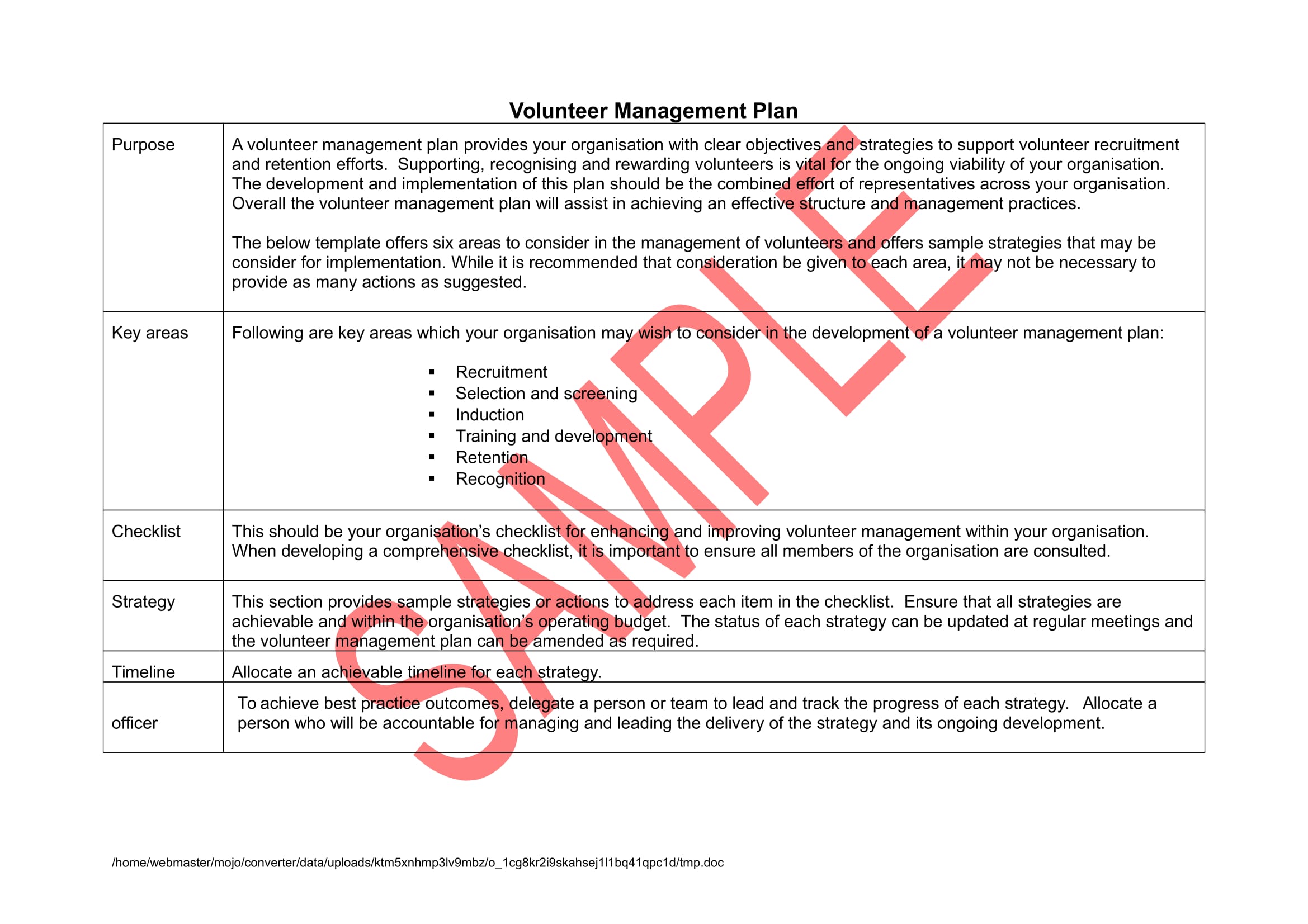 32 Action Plan Examples MS Word Pages Google Docs PDF Examples