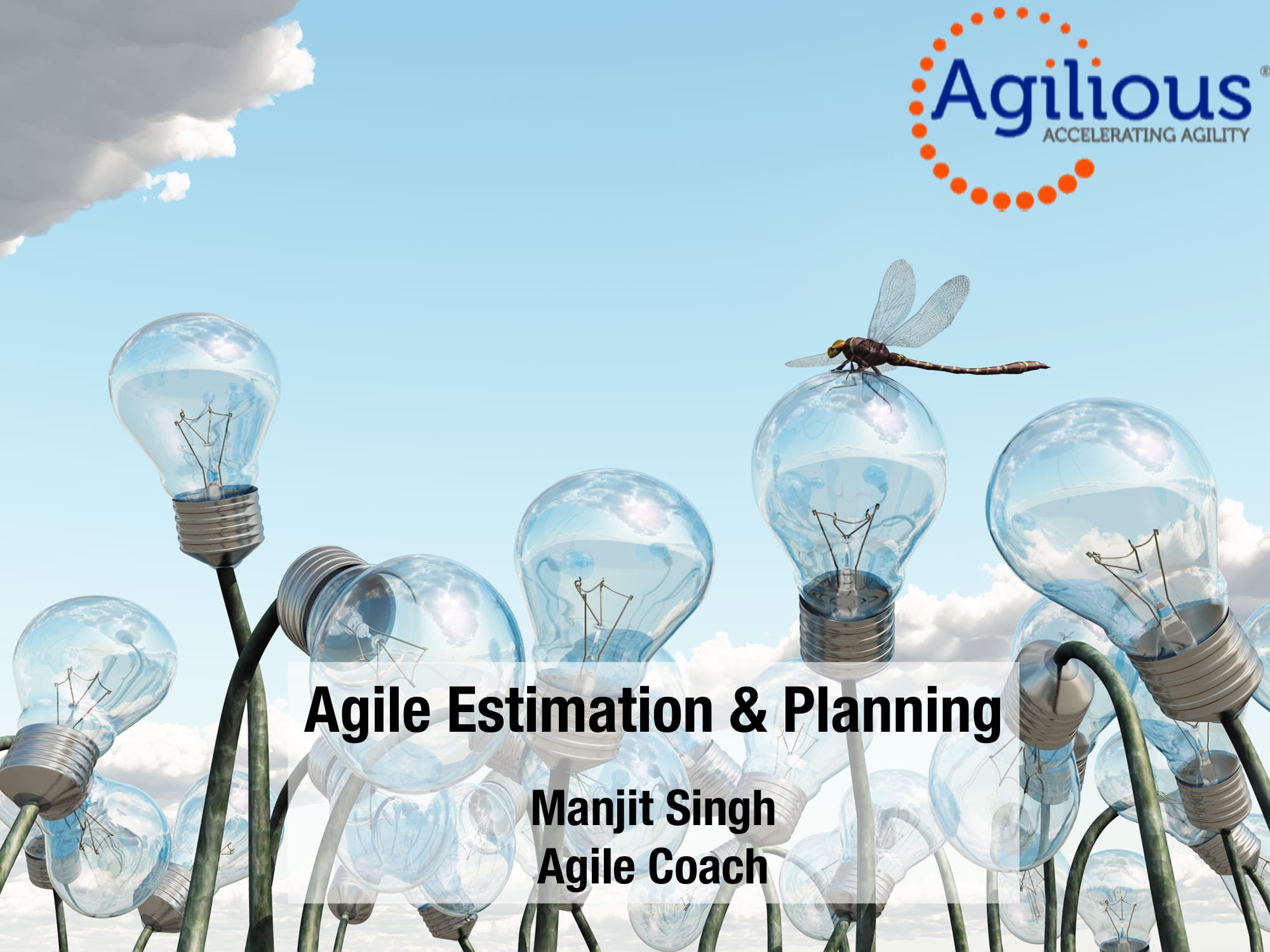 Agile Project Plan - 15+ Examples, Format, Pdf