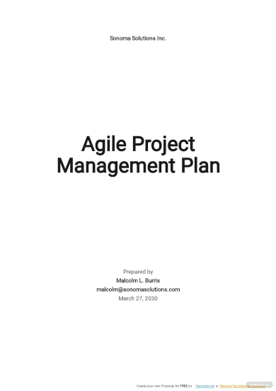 Agile Project Plan - 15+ Examples, Format, Pdf