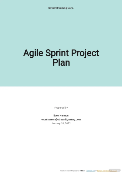 Agile Project Plan - 15+ Examples, Format, Pdf