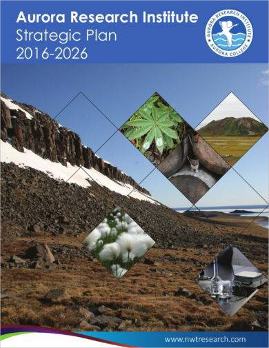 Research Strategic Plan - 9+ Examples, Format, Pdf | Examples