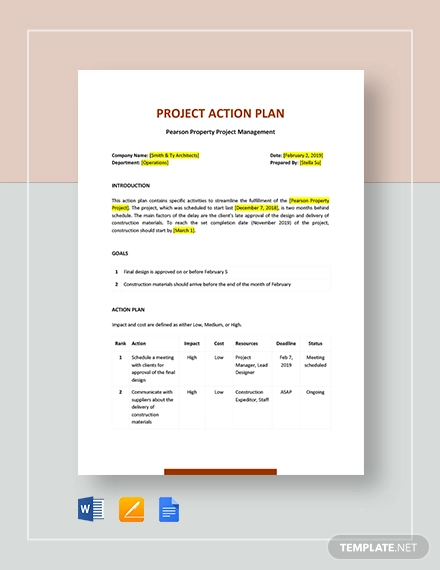 Project Action Plan Examples 21 PDF Word Examples